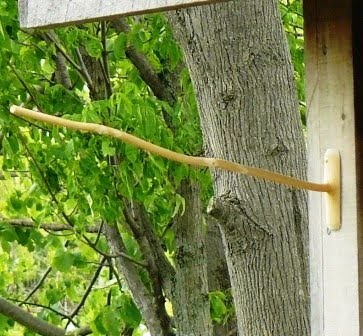 Canadian weather stick